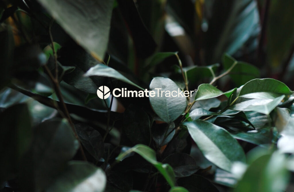 Studio Nine — Brand Identity Design — ClimateTracker